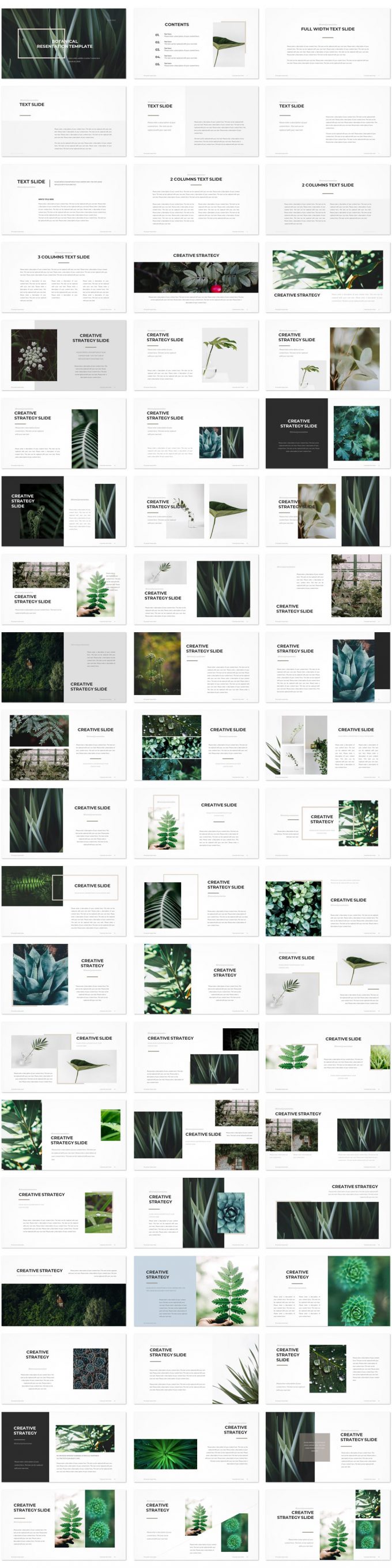 Botanical PowerPoint Template - Download PowerPoint | PPTWear